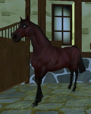 Alter real | Jorvikipedia | Fandom