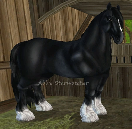 Shire | Jorvikipedia | Fandom