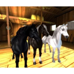 star stable morgan horse coloring pages