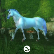 Starshine/Gallery | Jorvikipedia | Fandom