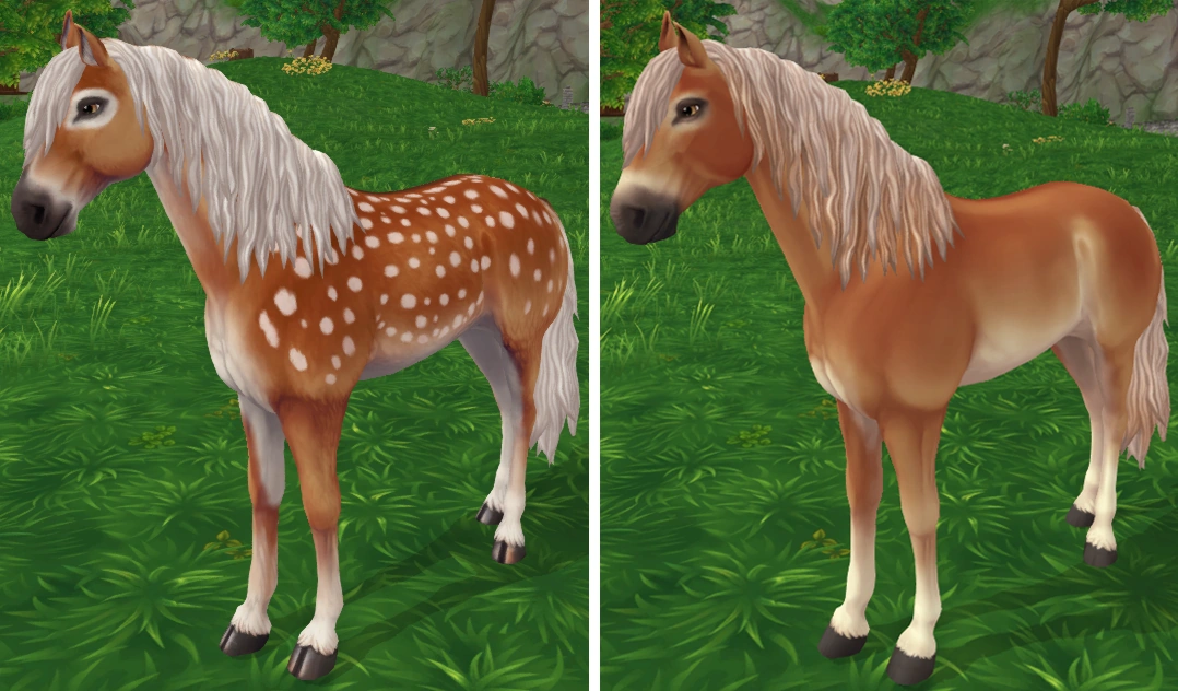 Fawncy/Gallery | Jorvikipedia | Fandom