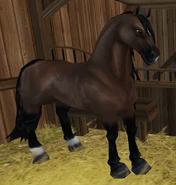 Andalusian/Gallery | Jorvikipedia | Fandom