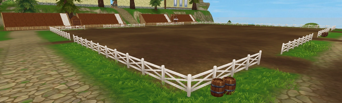 Arena w Stadninie Jorvik | Jorvikipedia | Fandom