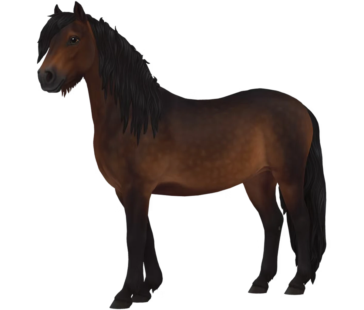 Kuc dartmoor | Jorvikipedia | Fandom