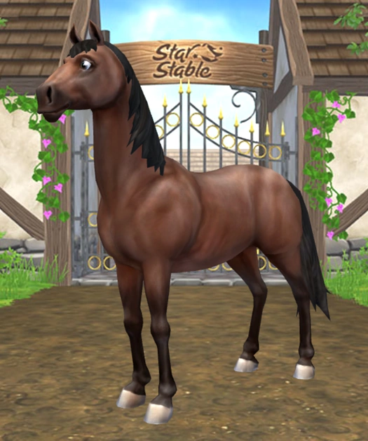 Jorvik Warmblood/Gallery | Jorvikipedia | Fandom