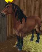 Percheron/Gallery | Jorvikipedia | Fandom