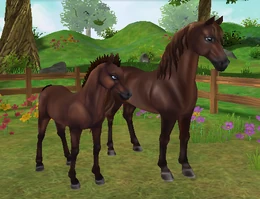 Morgan | Jorvikipedia | Fandom