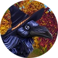 Poe the Crow | Jorvikipedia | Fandom