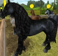 The Friesian | Jorvikipedia | Fandom