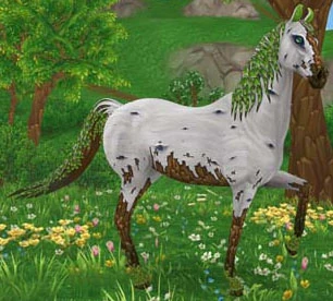 Birkir | Jorvikipedia | Fandom