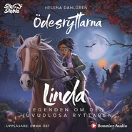 Meteor/Gallery | Jorvikipedia | Fandom