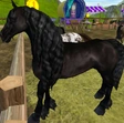 The Friesian | Jorvikipedia | Fandom