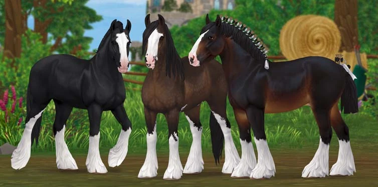 Shire | Jorvikipedia | Fandom