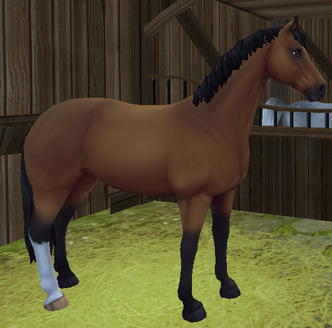 Trakehner/Gallery | Jorvikipedia | Fandom