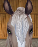 Rune Runner/Gallery | Jorvikipedia | Fandom