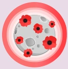 Poppy Moon | Jorvikipedia | Fandom