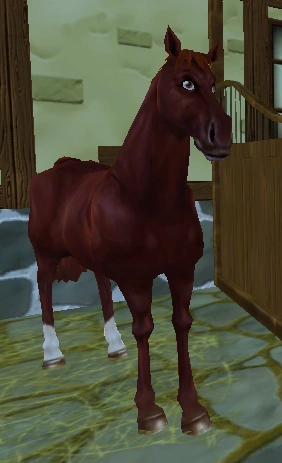 Criollo | Jorvikipedia | Fandom