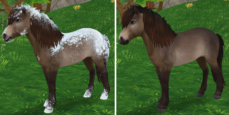 Kátur | Jorvikipedia | Fandom