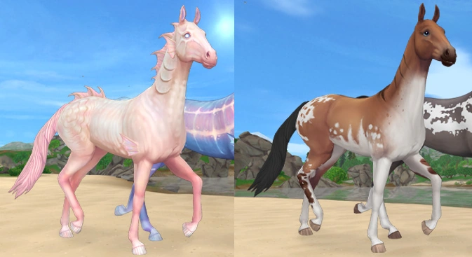 Tellina | Jorvikipedia | Fandom