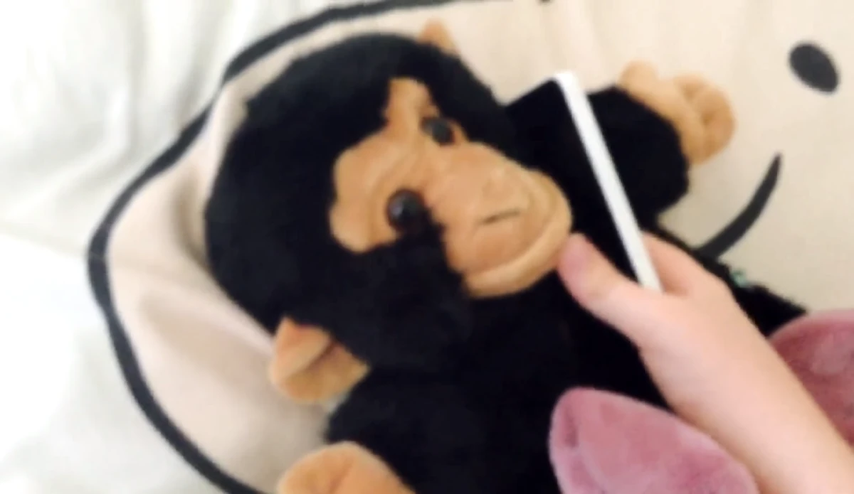 Monkey kid | Josh Entertainment Wiki | Fandom