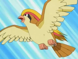 Mikey's Pidgeot | Josh's Adventures Wiki | Fandom