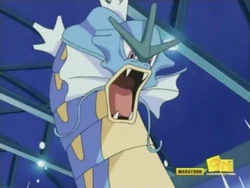 Chris's Gyarados | Josh's Adventures Wiki | Fandom