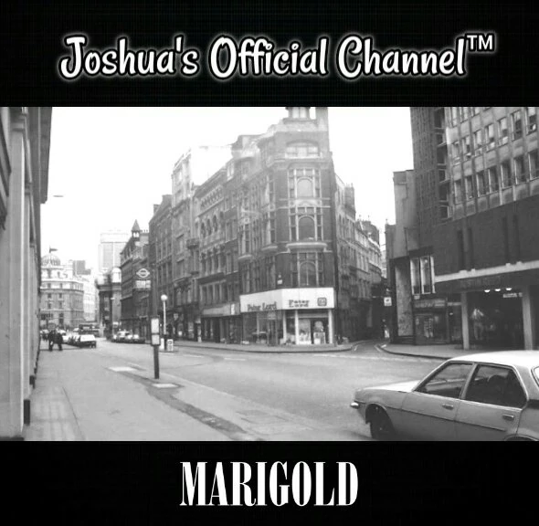 Marigold | Joshua Wiki | Fandom