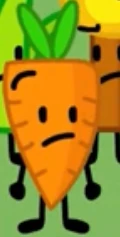 Carrot | Joshua Dacool Wiki | Fandom