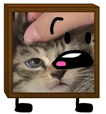 Cat Image | Joshua Dacool Wiki | Fandom