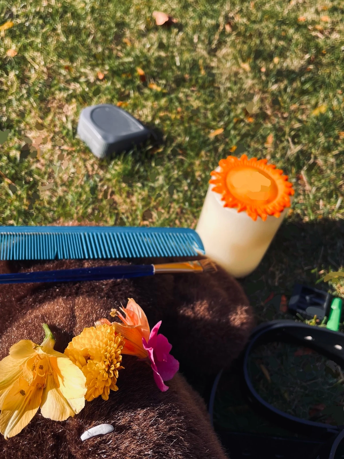 Monkey Meets the Meadow | Joshuakuperman Wiki | Fandom