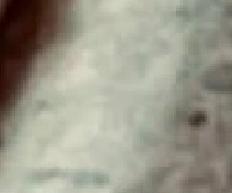 Spackling paste | Joshuakuperman Wiki | Fandom