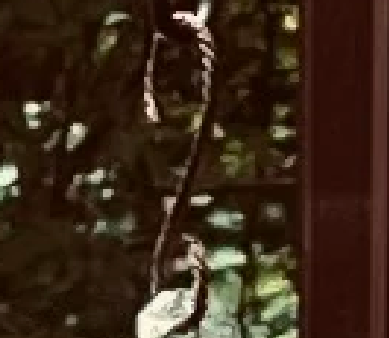 Hook | Joshuakuperman Wiki | Fandom