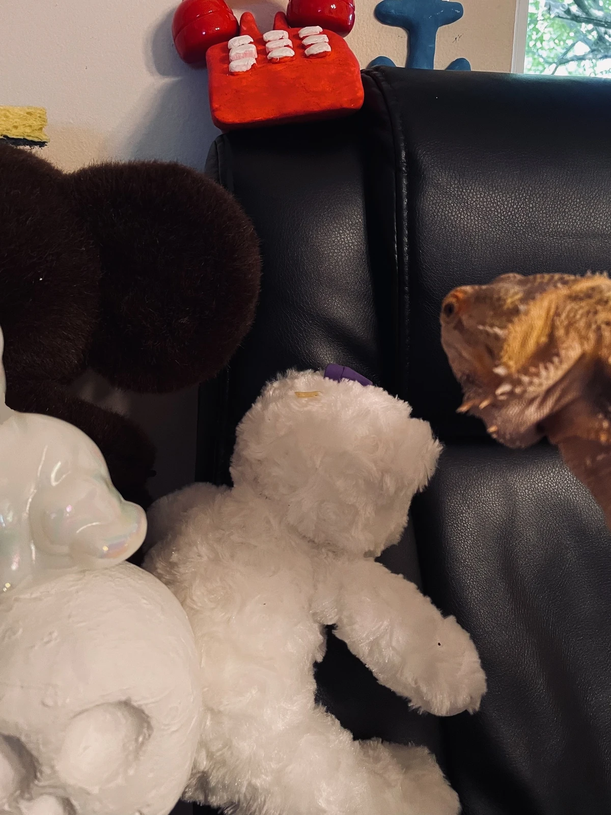 The Animal Sit Show | Joshuakuperman Wiki | Fandom