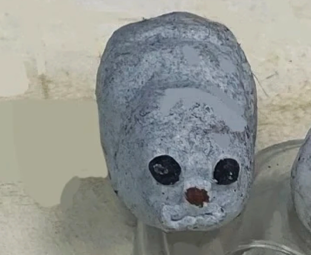 Seal | Joshuakuperman Wiki | Fandom