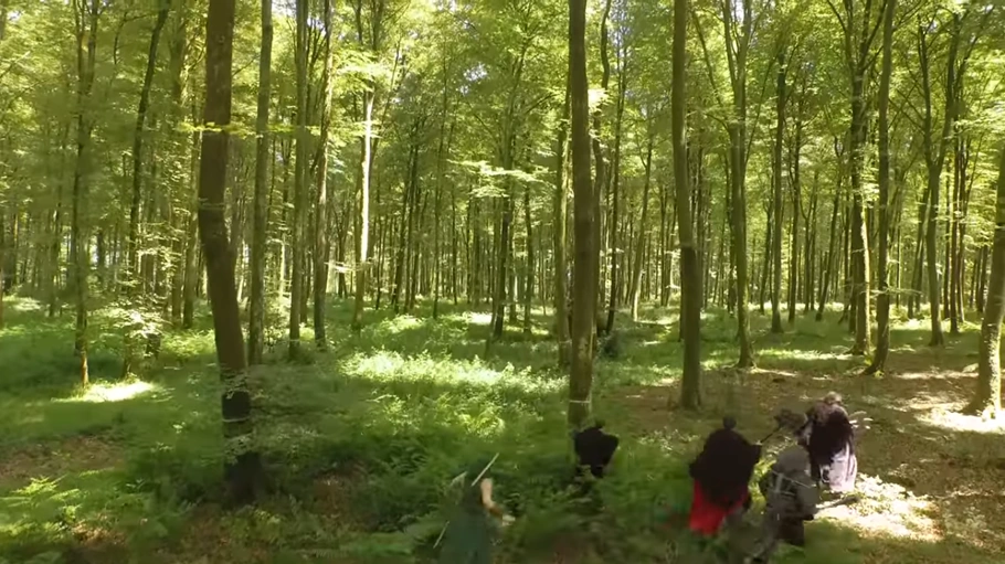 Forêt de Fougères | Wiki Joueur du Grenier | Fandom