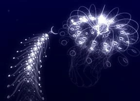 Mysterious Creature | Journey Wiki | Fandom