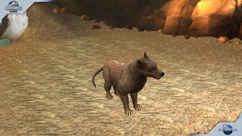 Amphicyon (Jurassic Park 4) | Jurassic Park Fanon Wiki | Fandom