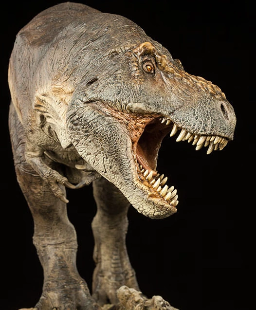 Tyrannosaurus (ReGenesis)/BioSyn | Jurassic Park Fanon Wiki | Fandom