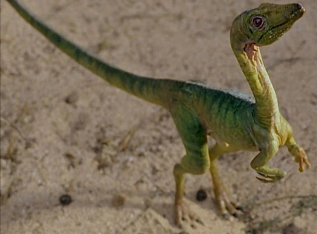 Procompsognathus (ReGenesis) | Jurassic Park Fanon Wiki | Fandom