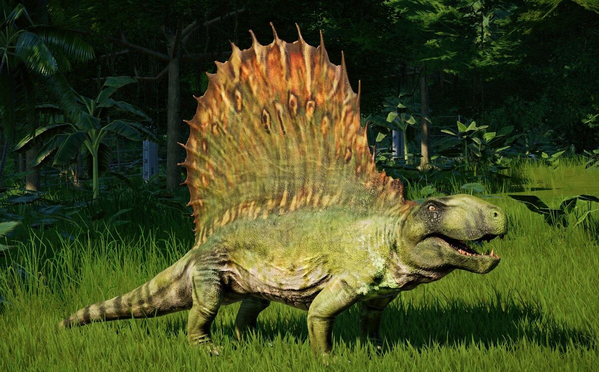 Dimetrodon Survival Of The Fittest Canon Jurassic Park Fanon Wiki Fandom