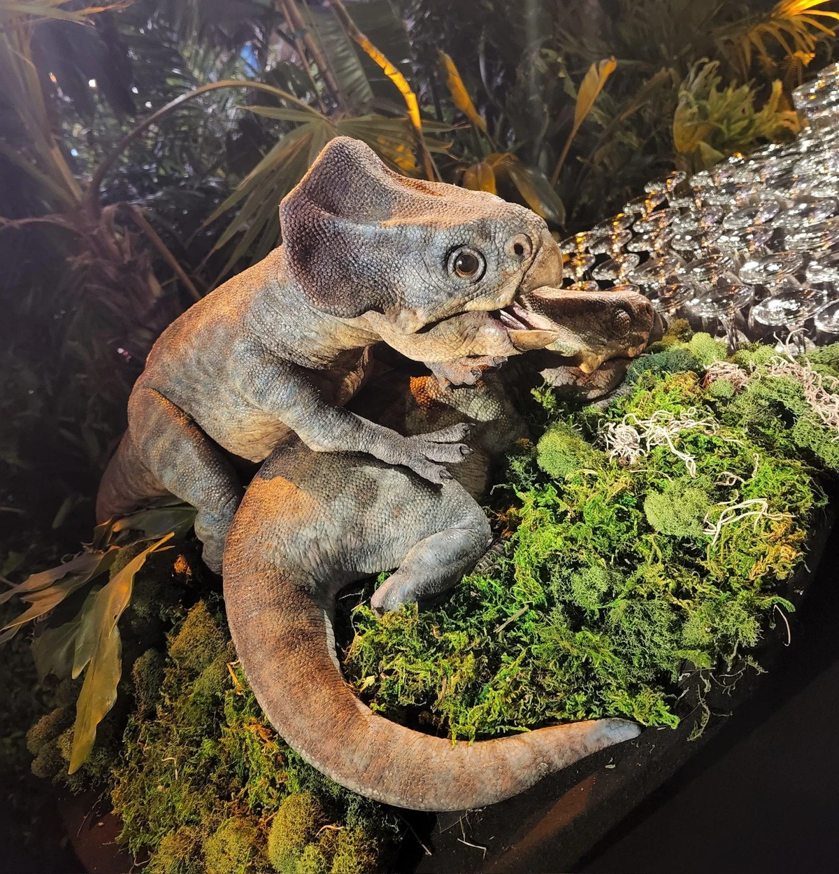 Microceratus (Jurassic Park 4) | Jurassic Park Fanon Wiki | Fandom