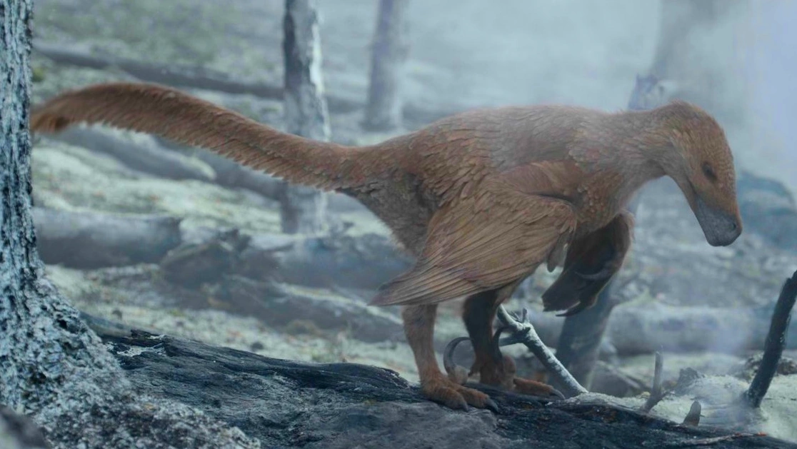 Atrociraptor (RPCU) | Jurassic Park Fanon Wiki | Fandom