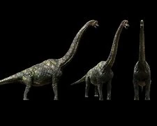 Brachiosaurus (Jurassic terra nova) | Jurassic Park Fanon Wiki | Fandom