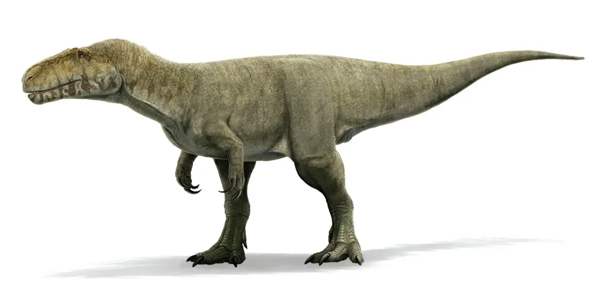 Megalosaurus pombali (Jurassic Park 4) | Jurassic Park Fanon Wiki | Fandom