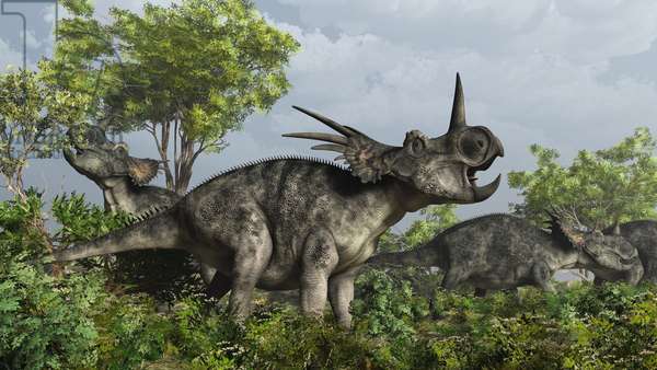 Styracosaurus (Jurassic Park 4) | Jurassic Park Fanon Wiki | Fandom