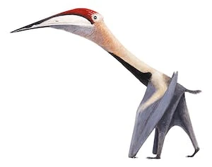 Phosphatodraco (Jurassic Park 4) | Jurassic Park Fanon Wiki | Fandom