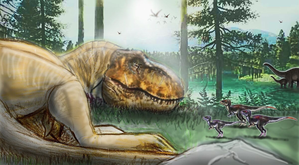 Rexy (jurassic Cinematic Saga) | Jurassic Park Fanon Wiki | Fandom
