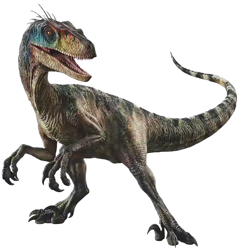Velociraptor (Iteration) | Jurassic Park Fanon Wiki | Fandom