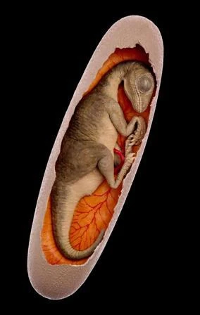 Jurassic Park: Prometheus/Trailer | Jurassic Park Fanon Wiki | Fandom