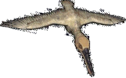 Ichthyornis (DinoWorld U.S.A.) | Jurassic Park Fanon Wiki | Fandom